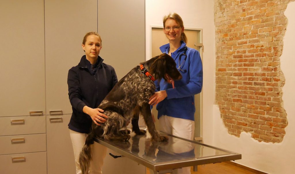 Home - Tierarztpraxis Queck und Partner